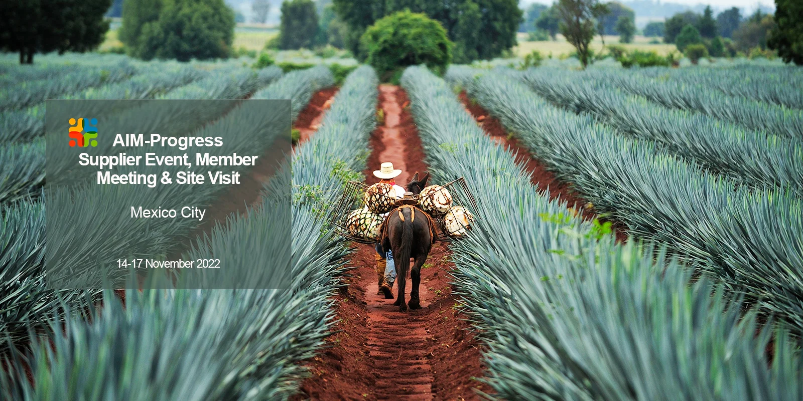 Get ready for the next AIM-Progress Autumn 2022 member meeting - AIM-Progress