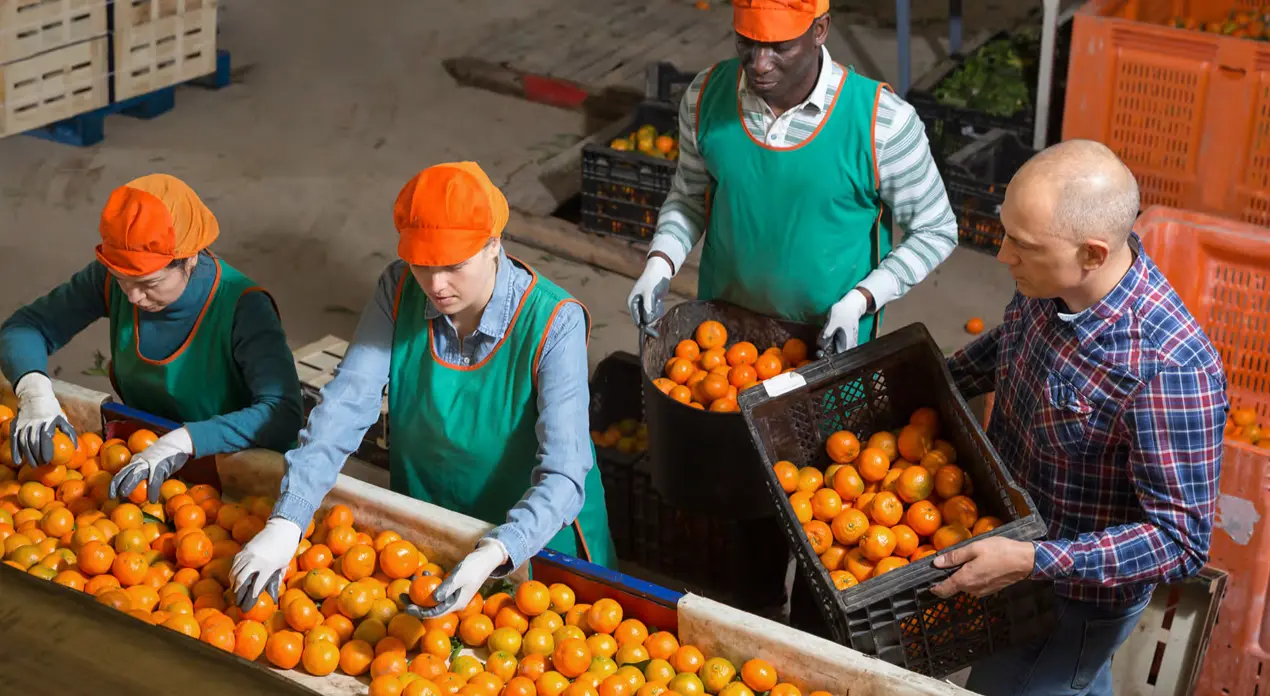 Launch of the AIM-Progress Living Wage Playbook for the Fast-Moving Consumer Goods Sector (FMCG ...