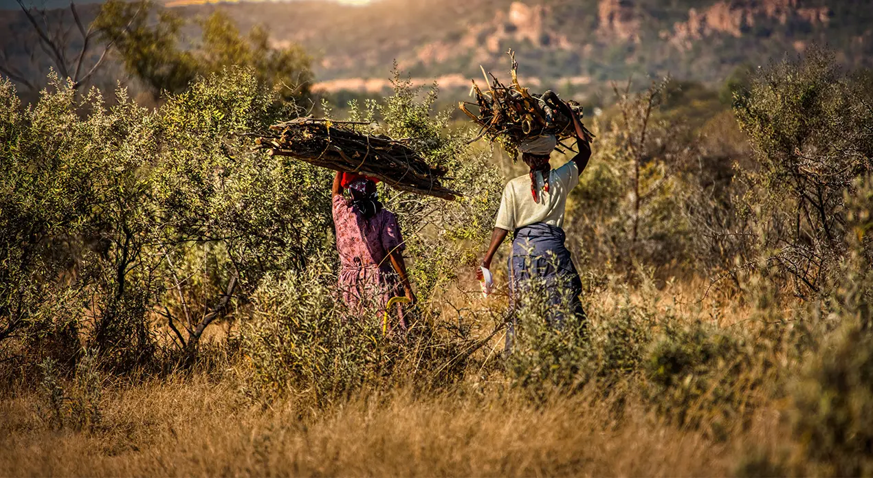 What progress has the FMCG sector made with the just transition? - AIM-Progress