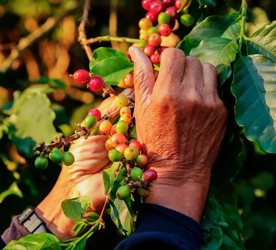 Climate crisis and just transition - AIM-Progress