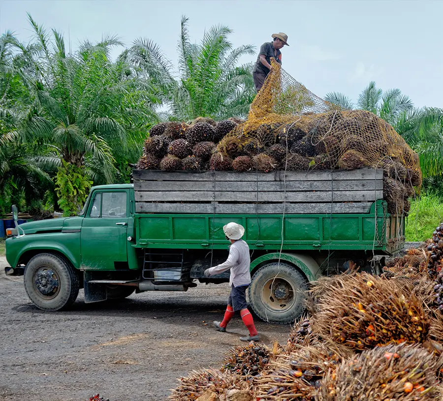 Living wage and income - AIM-Progress