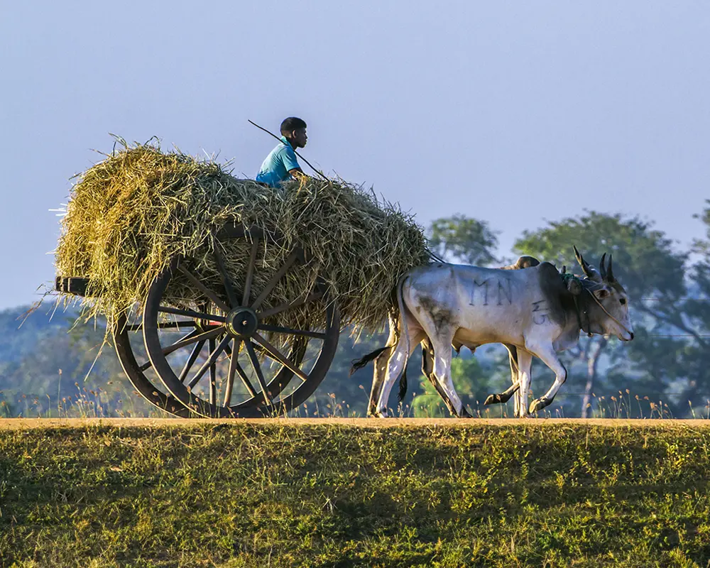 Sourcing Strategies: Responsible Engagement and Disengagement Considerations in a Changing ...