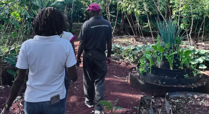 Regional hubs - AIM-Progress