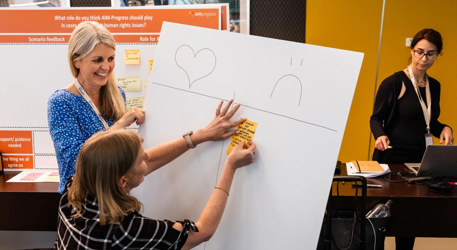 Capability building - AIM-Progress