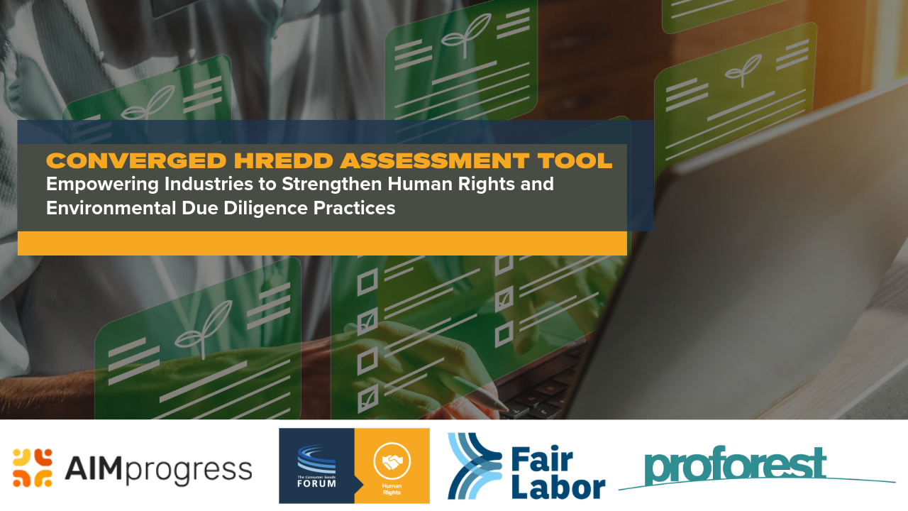 Update to the Converged Human Rights and Environmental Due Diligence Assessment Tool - AIM-Progress